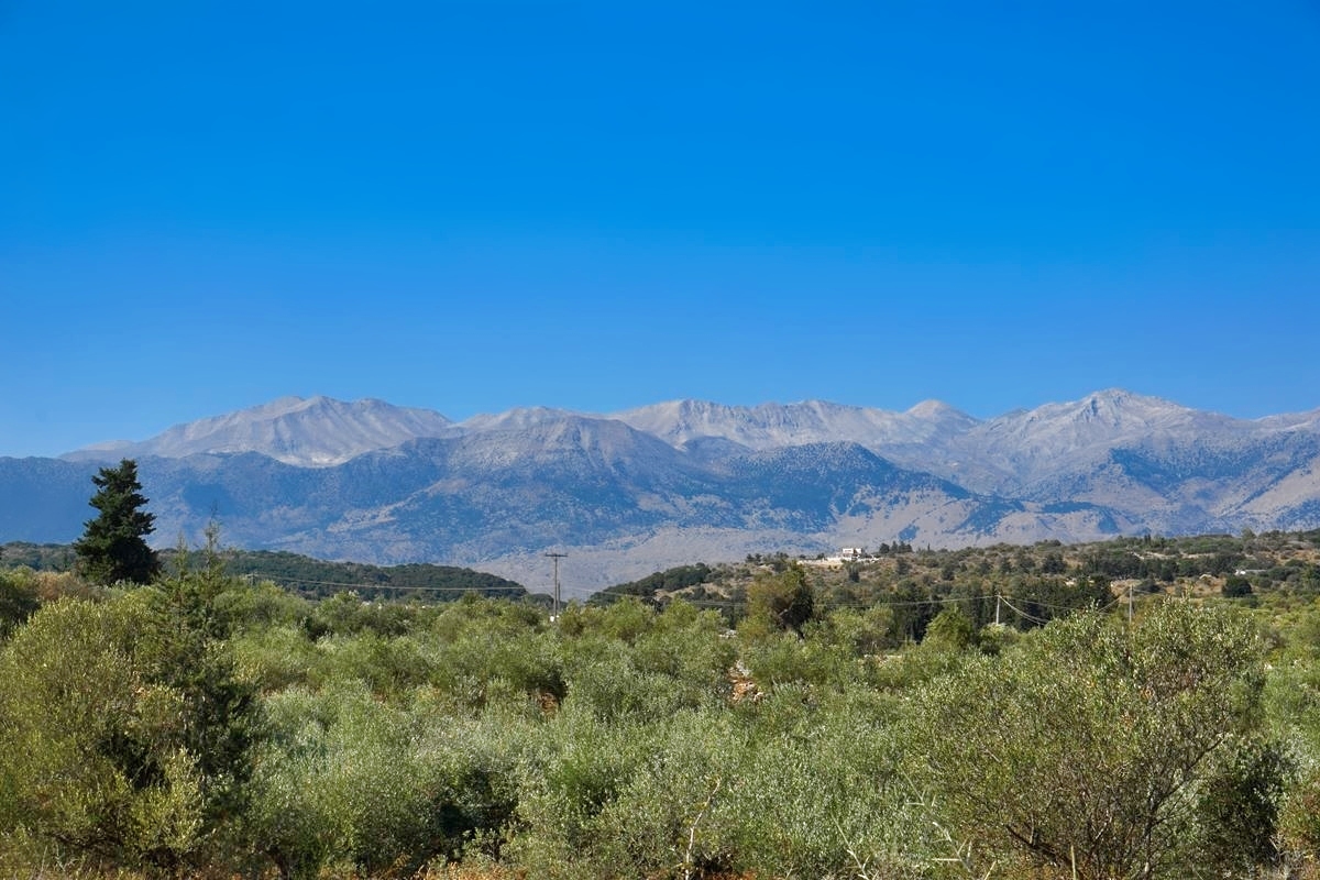 For Sale Flat Land Plot With Mountains View In Vamos Crete For Sale Flat Land Plot With Mountains View In Vamos Crete