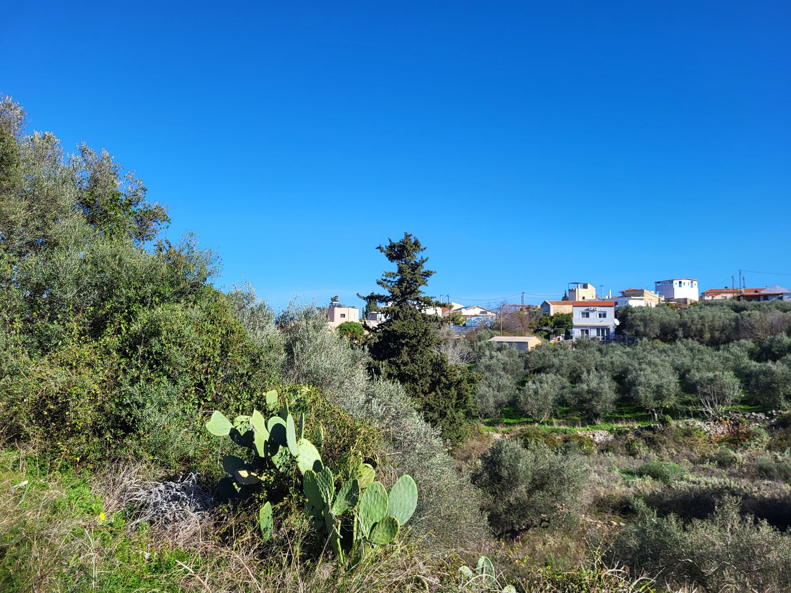 Plot with countryside views inside the village limits of Vamos - Blue ...